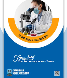 Download Brochure - CGC Landran